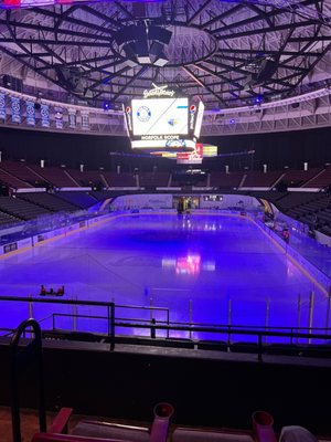 NORFOLK ADMIRALS - Updated April 2024 - 66 Photos & 24 Reviews - 201 E ...