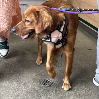 PRINCE GEORGE’S ANIMAL SERVICES FACILITY - Updated October 2025 - 34 ...