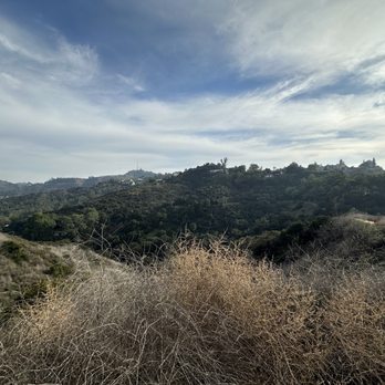 WILACRE PARK - Updated December 2025 - 446 Photos & 177 Reviews - 3431 ...