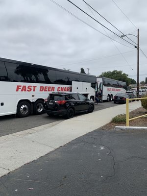 FAST DEER BUS CHARTER - Updated January 2026 - 87 Photos & 79 Reviews ...