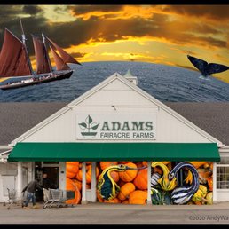 Adams Fairacre Farms Reviews | Read Customer Service Reviews of ...