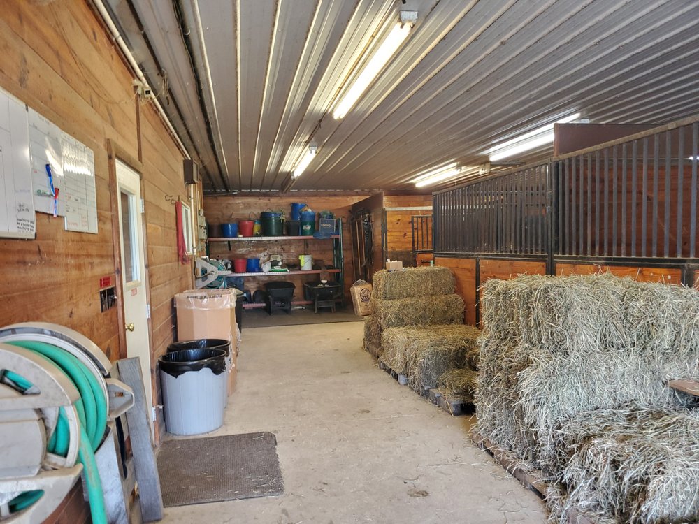 DUSTY HILLS RIDING ACADEMY AND STABLES - Updated September 2025 ...