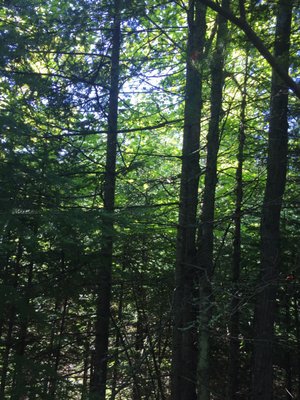 BARK ‘N’ BEAVERS WILDERNESS CAMPGROUND - Updated January 2026 - 10 ...