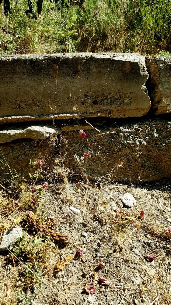 CARLITO SPRINGS - 91 Photos & 25 Reviews - 82 Carlito Springs Rd, Cedar ...