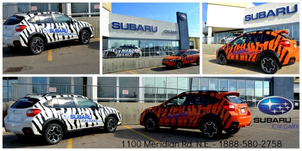 SUBARU CALGARY - Updated January 2026 - 19 Photos & 58 Reviews - 1100 ...