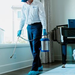 MOXIE PEST CONTROL - 135 Photos & 444 Reviews - 18 Technology Dr ...