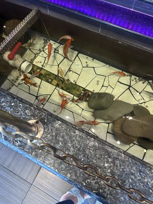 GINGER BUFFET AND GRILL - Updated November 2025 - 21 Photos & 64 ...