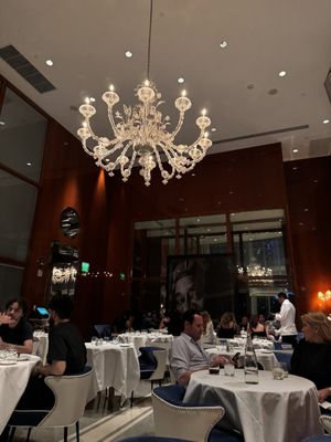 CIPRIANI DOWNTOWN MIAMI - Updated August 2025 - 511 Photos & 426 ...