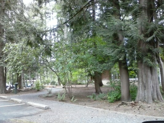 MAPLE VALLEY LIBRARY - Updated October 2025 - 11 Reviews - 21844 SE ...