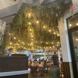 JOE LEO FINE TEX MEX - Updated June 2025 - 335 Photos & 499 Reviews ...