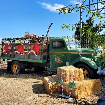 CAL POLY POMONA FARM STORE - Updated September 2024 - 1008 Photos & 204 ...