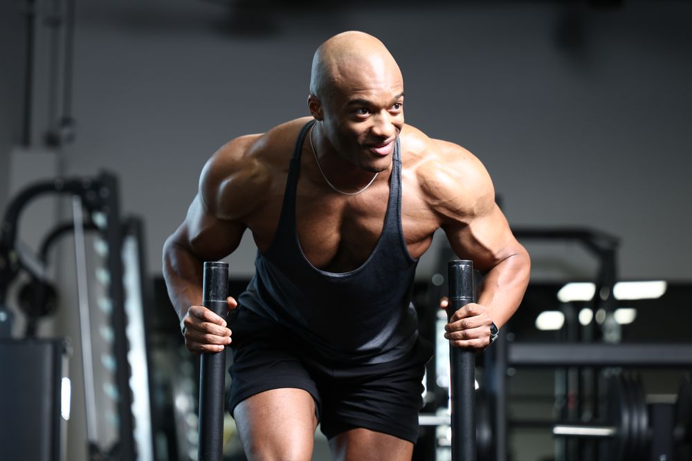 REFINED GYM - Updated April 2026 - 66 Photos - 3019 St Rose Pkwy ...