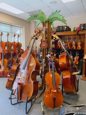SOUTHERN STRING SUPPLY - Updated July 2025 - 502 Wando Park Blvd, Mt ...