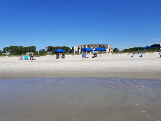 SHORE BEACH SERVICE - Updated May 2025 - 15 Photos & 12 Reviews - 116 ...