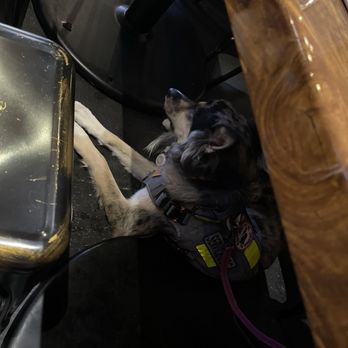 JOSHUA TREE SALOON - Updated April 2024 - 864 Photos & 1286 Reviews ...