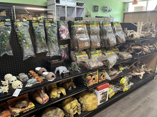 THE BASKING SPOT REPTILES AND SUPPLIES - 14 Photos - 531 E Arrow Hwy ...