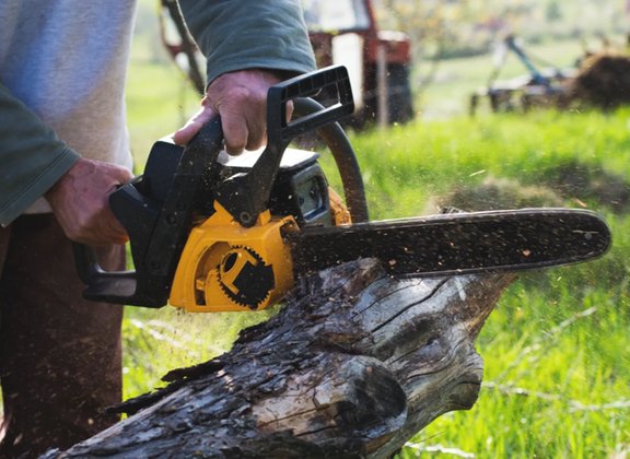 AA TREE SERVICE - Updated October 2025 - 138 Photos - 28205 203rd Ave ...