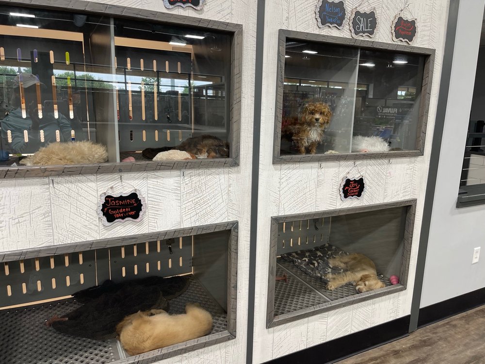 UNCLE BILL’S PET CENTER - Updated December 2025 - 3101 S Sr 421 ...