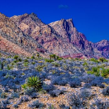 LATE NIGHT TRAILHEAD - Updated January 2026 - 211 Photos & 22 Reviews ...