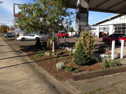 DANES AUTO SERVICE - Updated January 2026 - 16 Reviews - 843 SE Pacific ...