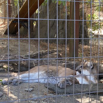 THE FOLSOM CITY ZOO SANCTUARY - Updated January 2025 - 599 Photos & 270 ...