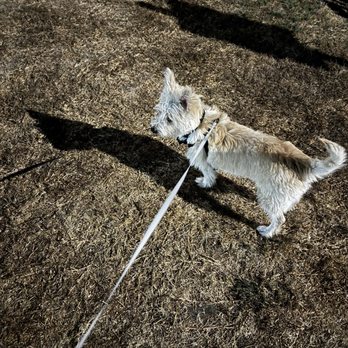 DOWNEY ANIMAL CARE CENTER - Updated January 2026 - 317 Photos & 303 ...