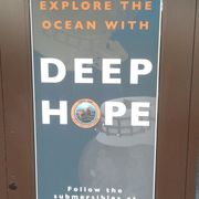 ALAMEDA SOUTH SHORE CENTER | 245 Photos & 78 Reviews | 523 S Shore Ctr ...