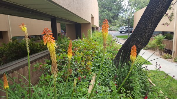 DR. STEVEN J. TRAUB ORAL AND MAXILLOFACIAL SURGERY - Updated December ...