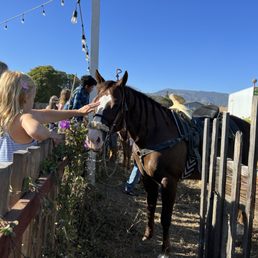 TIMBER’S ROADHOUSE - Updated March 2026 - 318 Photos & 233 Reviews - 10 ...