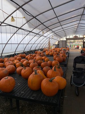 HEAVEN HILL FARM - Updated November 2024 - 311 Photos & 85 Reviews ...