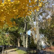 INWOOD HILL PARK - 357 Photos & 84 Reviews - Dyckman St, New York, New ...