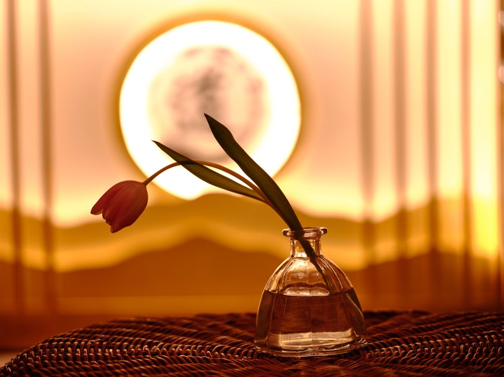 TCM MERIDIAN MASSAGE - Updated June 2025 - Request an Appointment - 14 ...