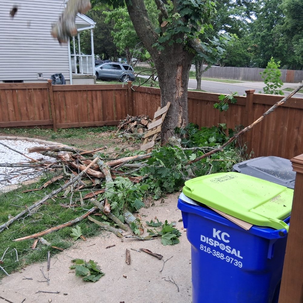 ALL SEASONS TREE CARE - Updated June 2025 - 22713 S Thorngrove Rd ...