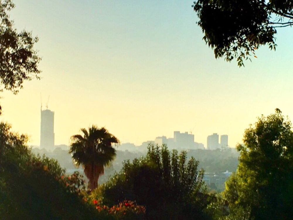 CALOOLA ROAD RESERVE - 17-19 Caloola Rd, Constitution Hill New South ...