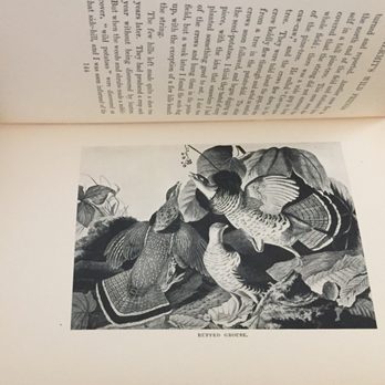 EDGAR M. QUEENY COUNTY PARK - Updated December 2025 - 214 Photos & 33 ...