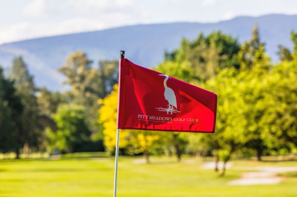 PITT MEADOWS GOLF CLUB - Updated August 2025 - 24 Photos - 13615 Harris ...