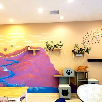 CATOPIA CAT CAFE - Updated December 2025 - 108 Photos & 48 Reviews - 8001 Wyoming Blvd NE ...