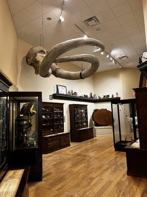 MAYBORN MUSEUM - Updated May 2026 - 212 Photos & 76 Reviews - 1300 S ...