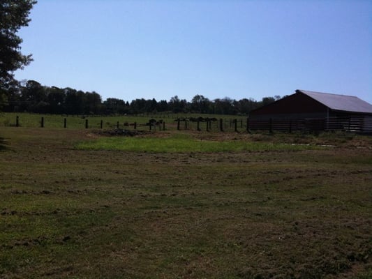 READINGTON RIVER BUFFALO FARM - Updated December 2025 - 13 Reviews ...