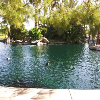 FREESTONE PARK - Updated May 2025 - 213 Photos & 116 Reviews - 1045 E ...