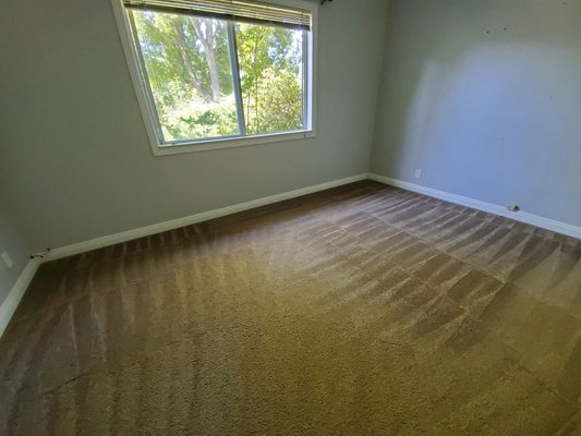 WORLD CLASS CARPET CLEANING - Updated November 2025 - 196 Photos & 474 ...