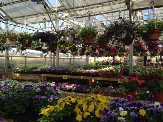 AGWAY - Updated December 2025 - 145 Broad Ave, Binghamton, New York ...