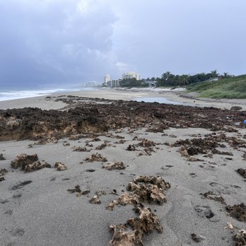 BLOWING ROCKS PRESERVE - Updated January 2025 - 481 Photos & 96 Reviews ...
