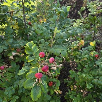 WEST WARWICK PUBLIC LIBRARY - Updated December 2025 - 38 Photos - 1043 ...