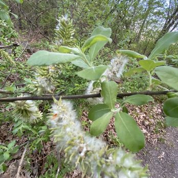 BEAVER BROOK RESERVATION - Updated December 2025 - 64 Photos & 48 ...