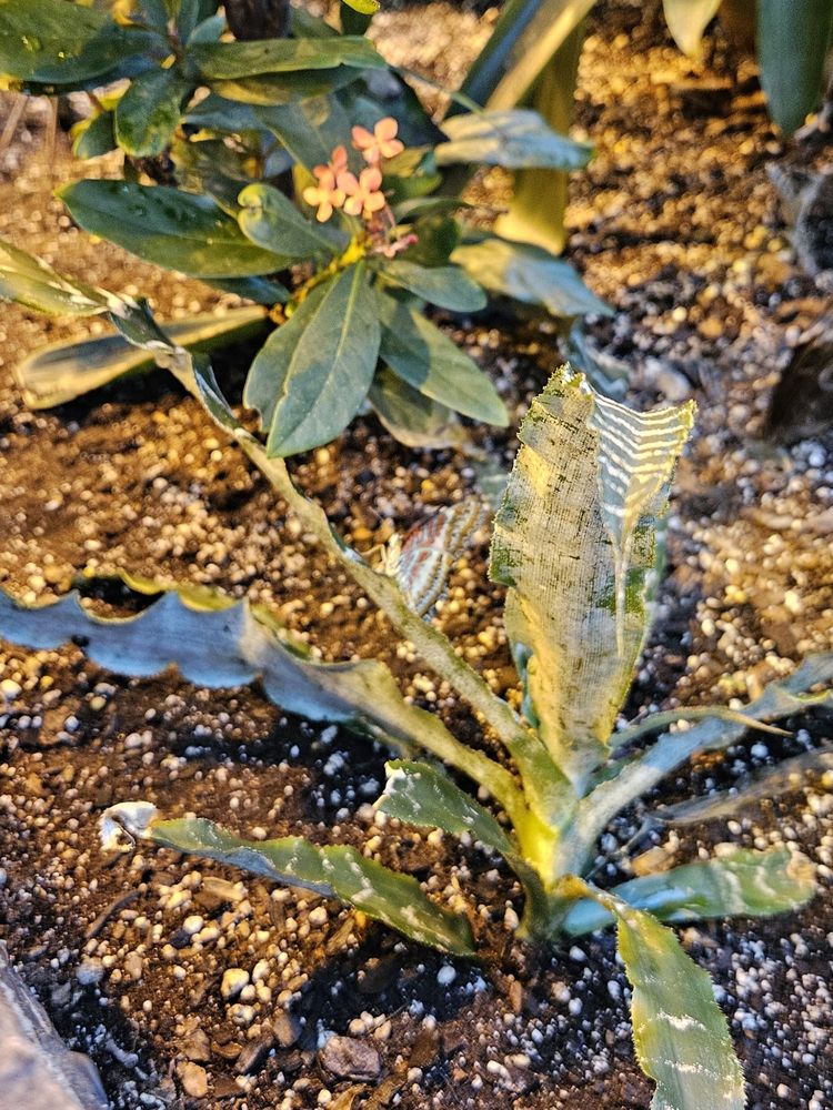 CONNECTICUT SCIENCE CENTER - Updated December 2025 - 438 Photos & 158 ...