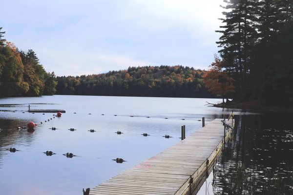 CAMP LITTLE NOTCH - Updated December 2025 - 21 Photos - 744 Sly Pond Rd ...