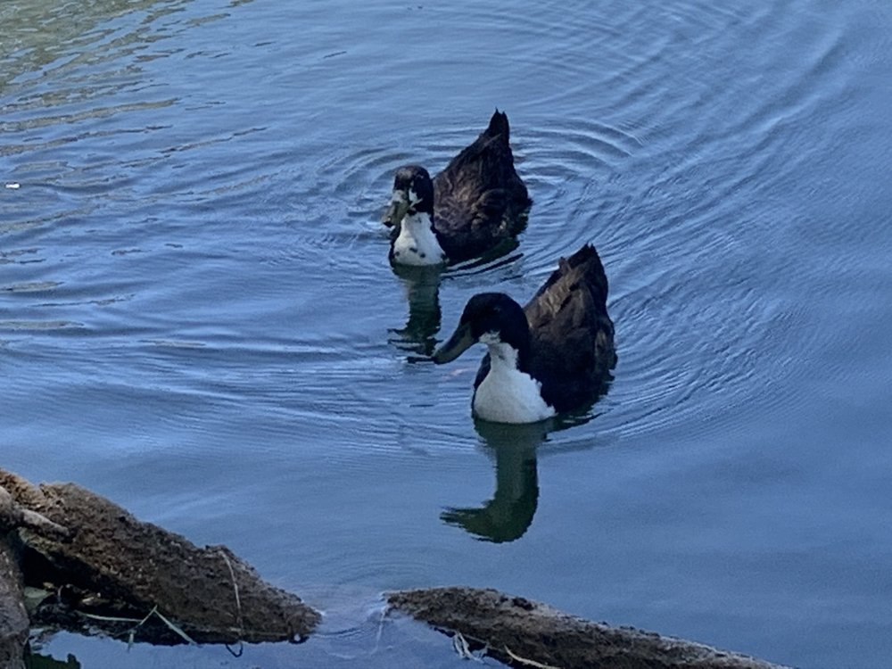 YUMA LAKES RV RESORT - Updated October 2025 - 10 Photos - 6275 S Ave 8 ...