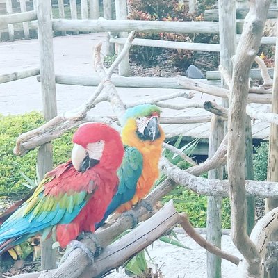 GATOR SPOT - Updated May 2025 - 40 Photos - 5700 Fun Spot Way, Orlando ...