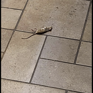 WALMART NEIGHBORHOOD MARKET - Updated June 2025 - 20 Photos - 98 W ...